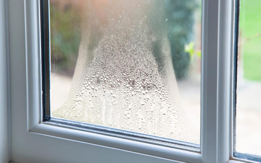 Preventing Condensation on Windows: Everything You Need to Know as a ...