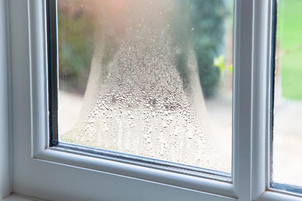 Preventing Condensation on Windows: Everything You Need to Know as a ...